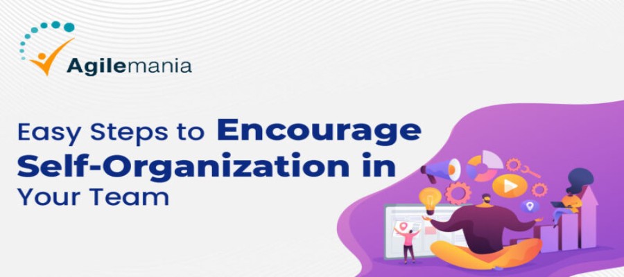 What Is Self-Organization? An Overview.